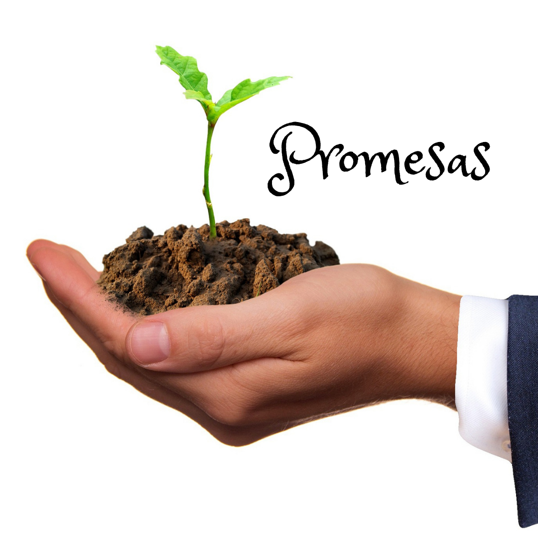 Promesas – Mi bitácora digital – Irene de Santos